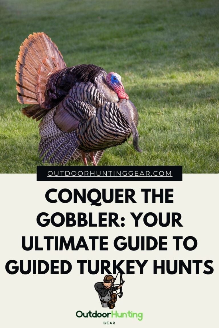 Conquer the Chase: A Comprehensive Guide to Guided Turkey Hunts ...