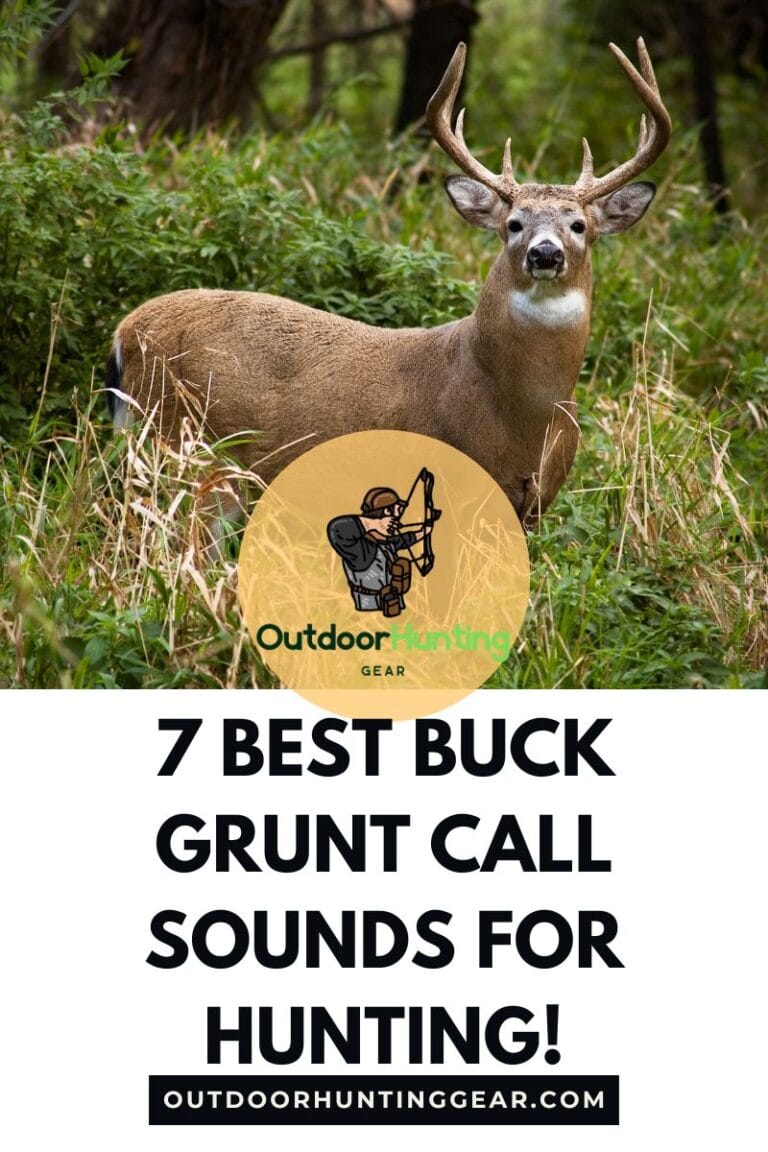 Top 5 Best Buck Grunt Call Sounds to Attract Big Deer - Outdoor Hunting ...