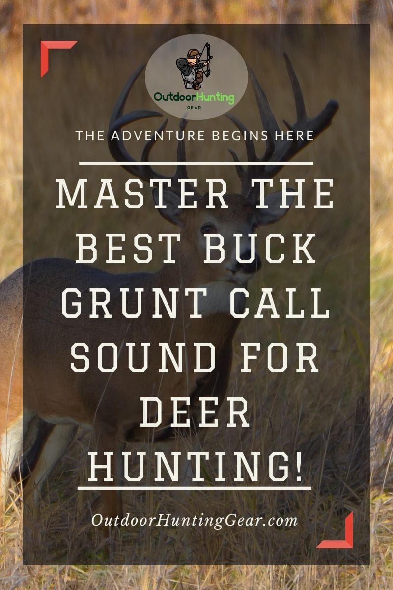 Top 5 Best Buck Grunt Call Sounds to Attract Big Deer - Outdoor Hunting ...