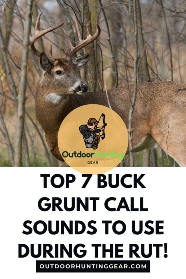 Top 5 Best Buck Grunt Call Sounds to Attract Big Deer - Outdoor Hunting ...