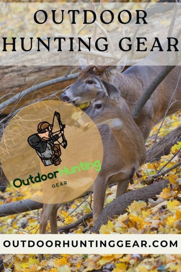 10 Best Deer Hunting Tips: A Beginner’s Guide for Whitetail Deer ...