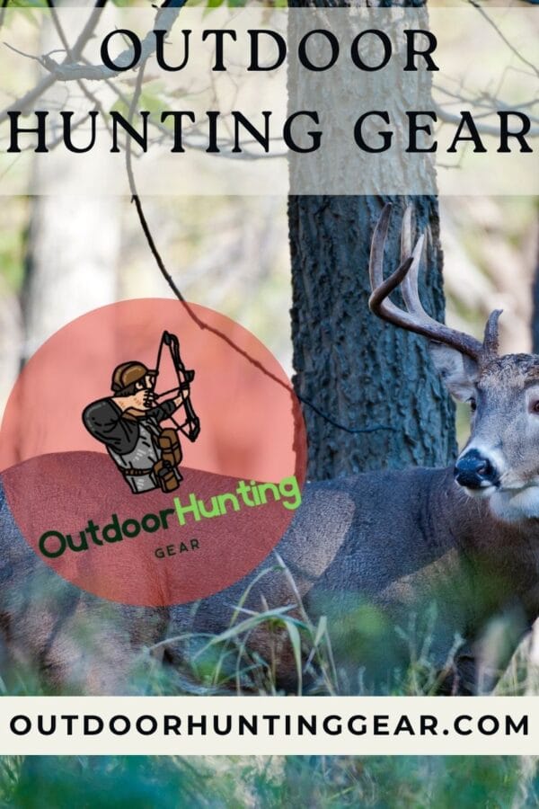 10 Best Deer Hunting Tips: A Beginner’s Guide for Whitetail Deer ...