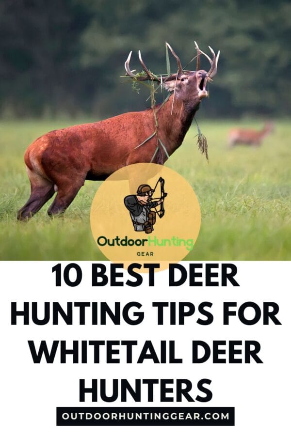 10 Best Deer Hunting Tips: A Beginner’s Guide for Whitetail Deer ...