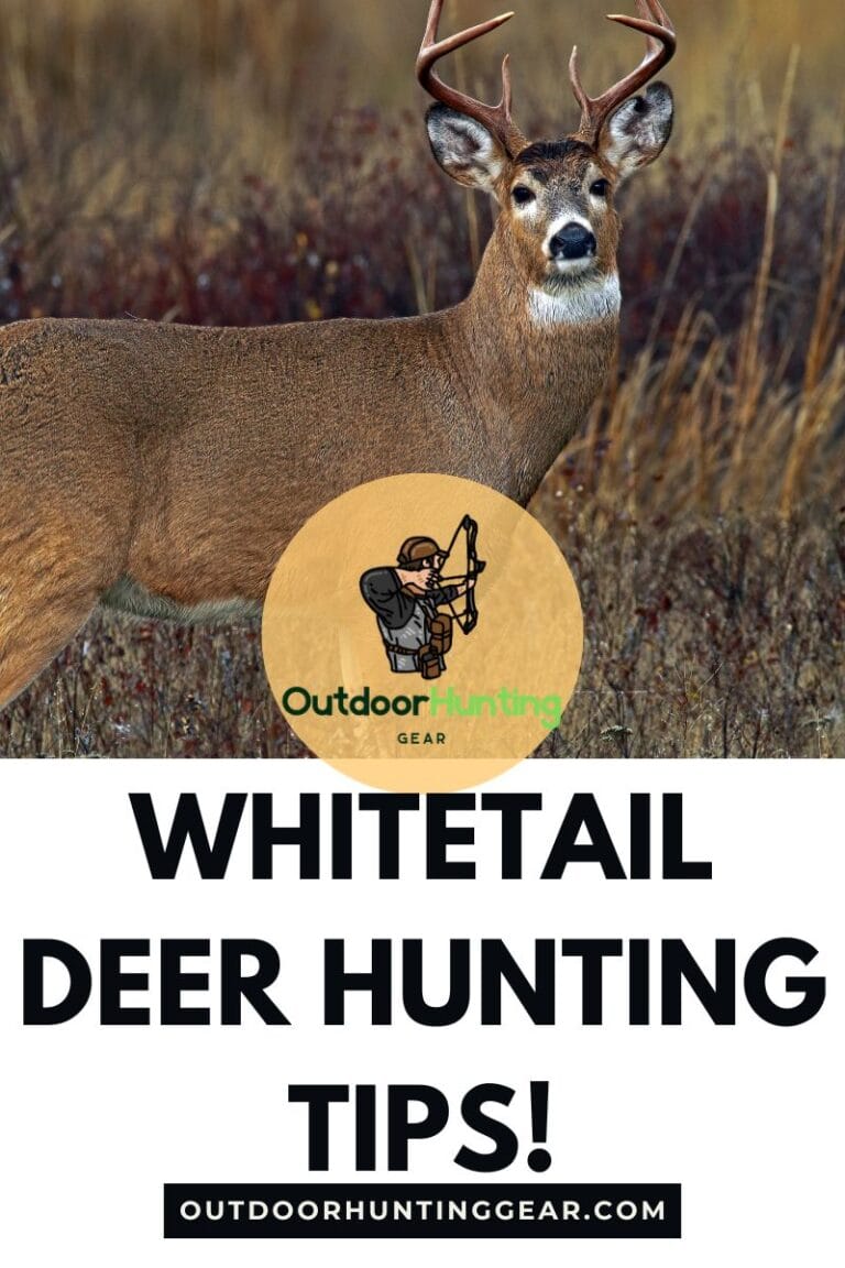10 Best Deer Hunting Tips: A Beginner’s Guide for Whitetail Deer ...