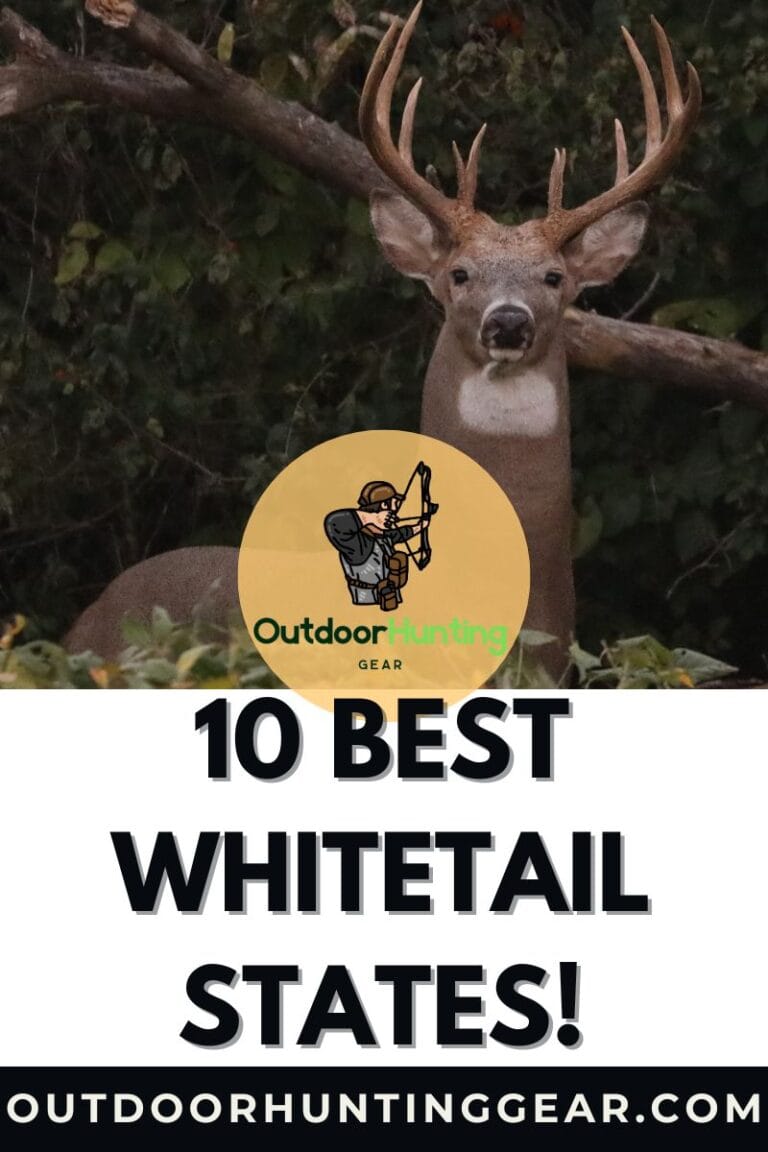 Top 10 Best Whitetail States for Trophy Bucks This Deer Hunting Season ...